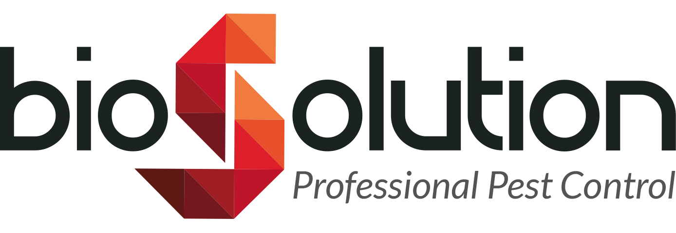 Antitarlo Derattizzazione Monitoraggio: Biosolution Disinfestazioni!